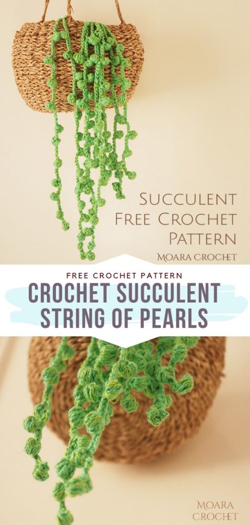 Lovely Crochet Cactus and Succulent Ideas and Free Patterns
