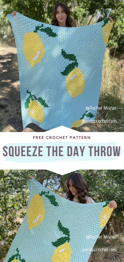 Fun Summer C2C Blankets - Free Crochet Patterns