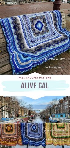 10+ Best 2023 CALs Free Crochet Patterns